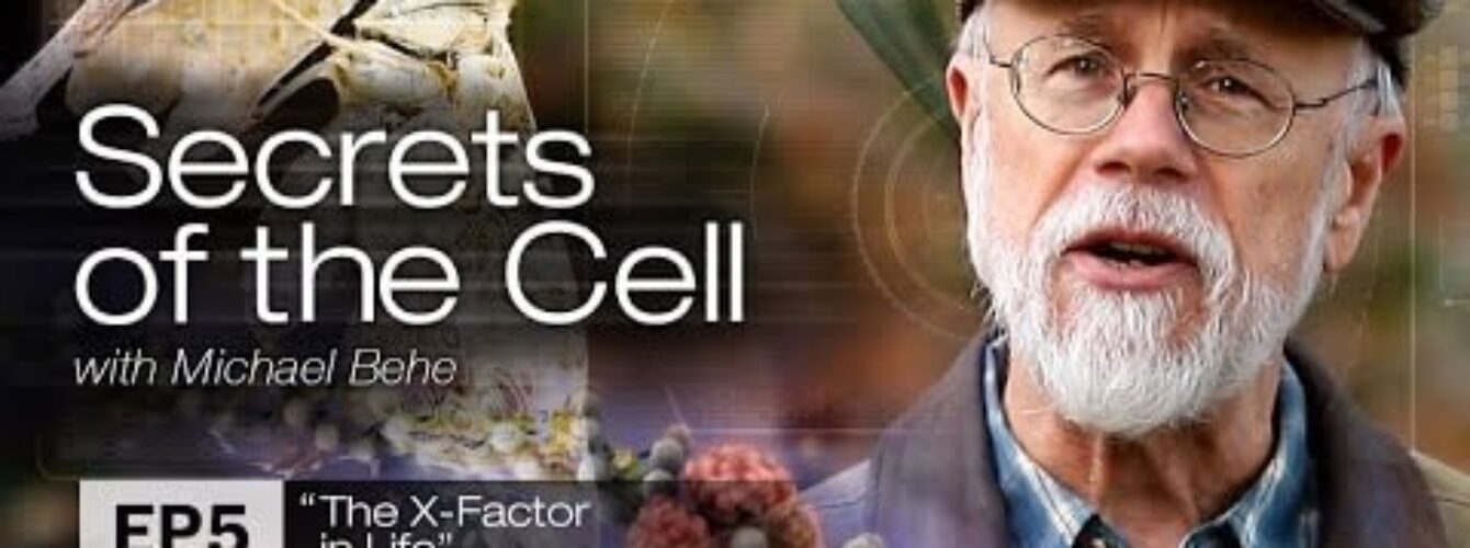 Biochemist and bestselling author Michael Behe explores the key missing ...