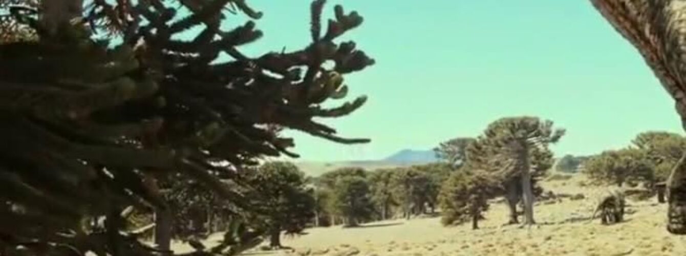 Job chapter 40 describes “Behemoth” the chief of all of… – All #ourCOG News